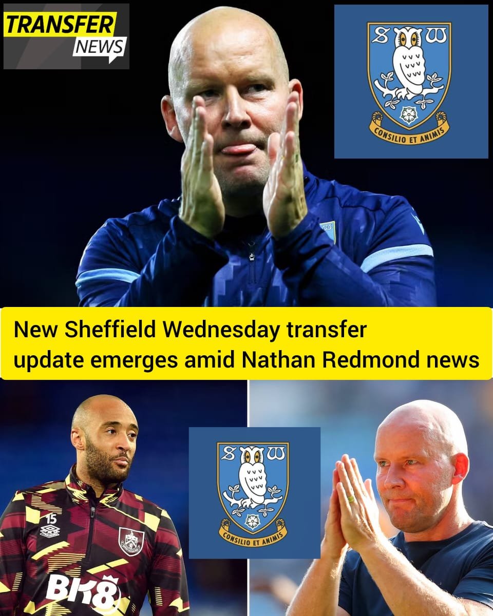 New Sheffield Wednesday transfer update emerges amid Nathan Redmond ...