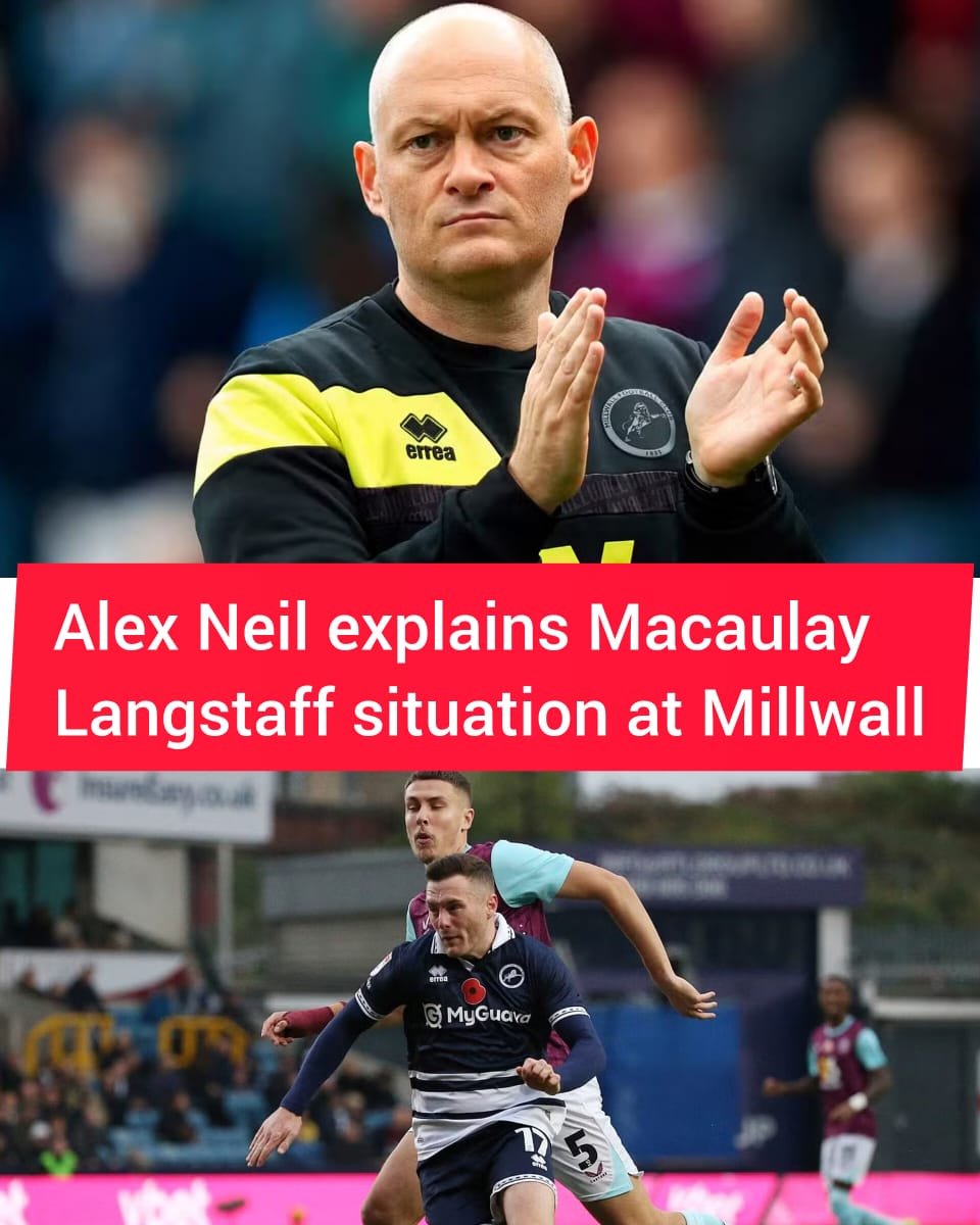 FINALLY: Alex Neil explains Macaulay Langstaff situation at Millwall ...