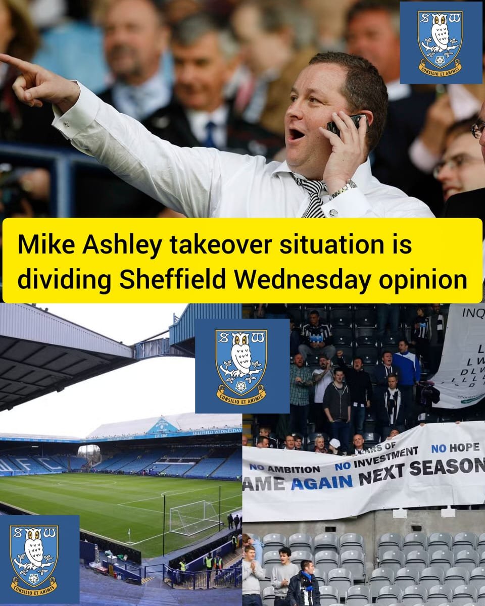The Mike Ashley takeover crisis is dividing Sheffield Wednesday opinion ...