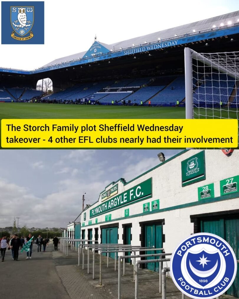 The Storch Family plotted a takeover of Sheffield Wednesday, and four ...