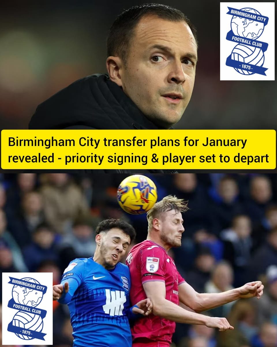 Exclusive: Birmingham City transfer intentions for January revealed ...