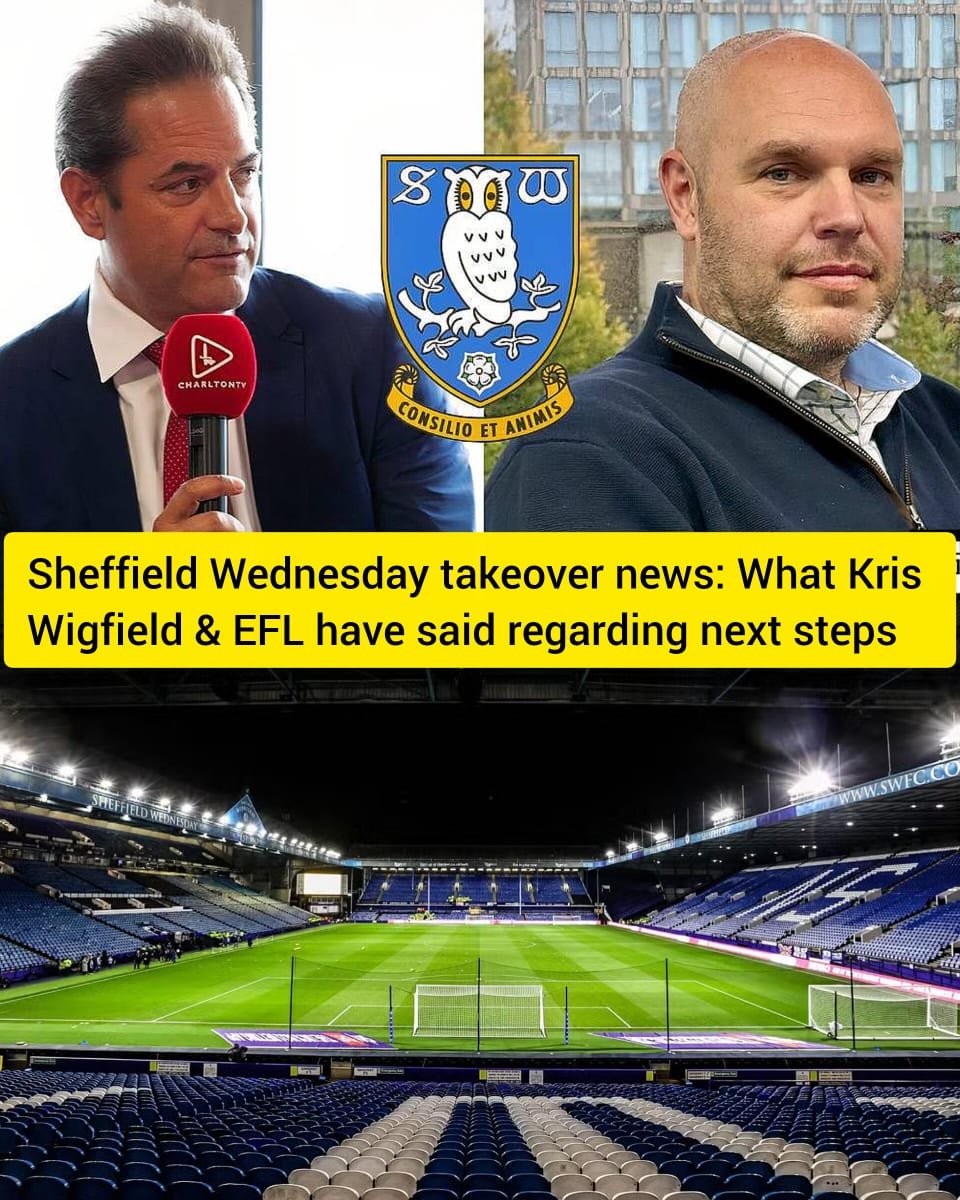 Sheffield Wednesday takeover news: What Kris Wigfield and the EFL have ...