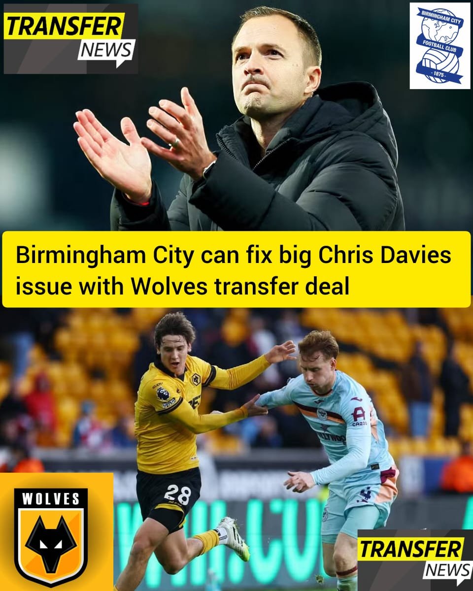 Birmingham City can fix the massive Chris Davies issue with the Wolves ...