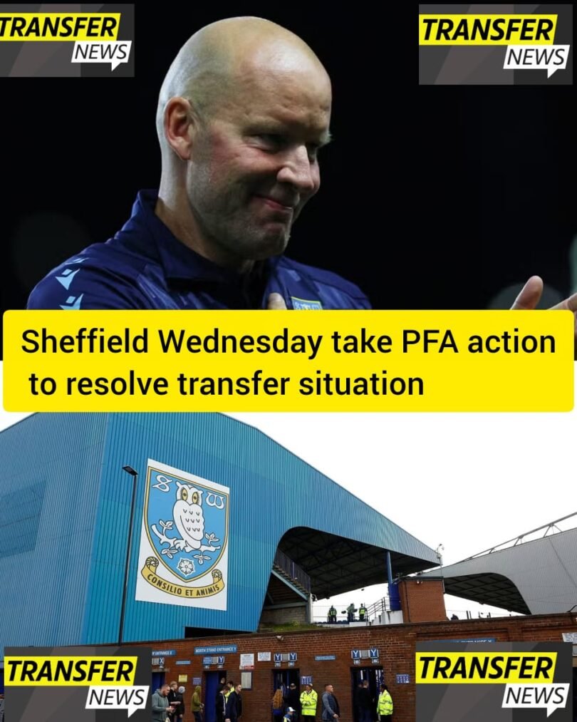 Sheffield Wednesday take PFA action to resolve transfer situation ...