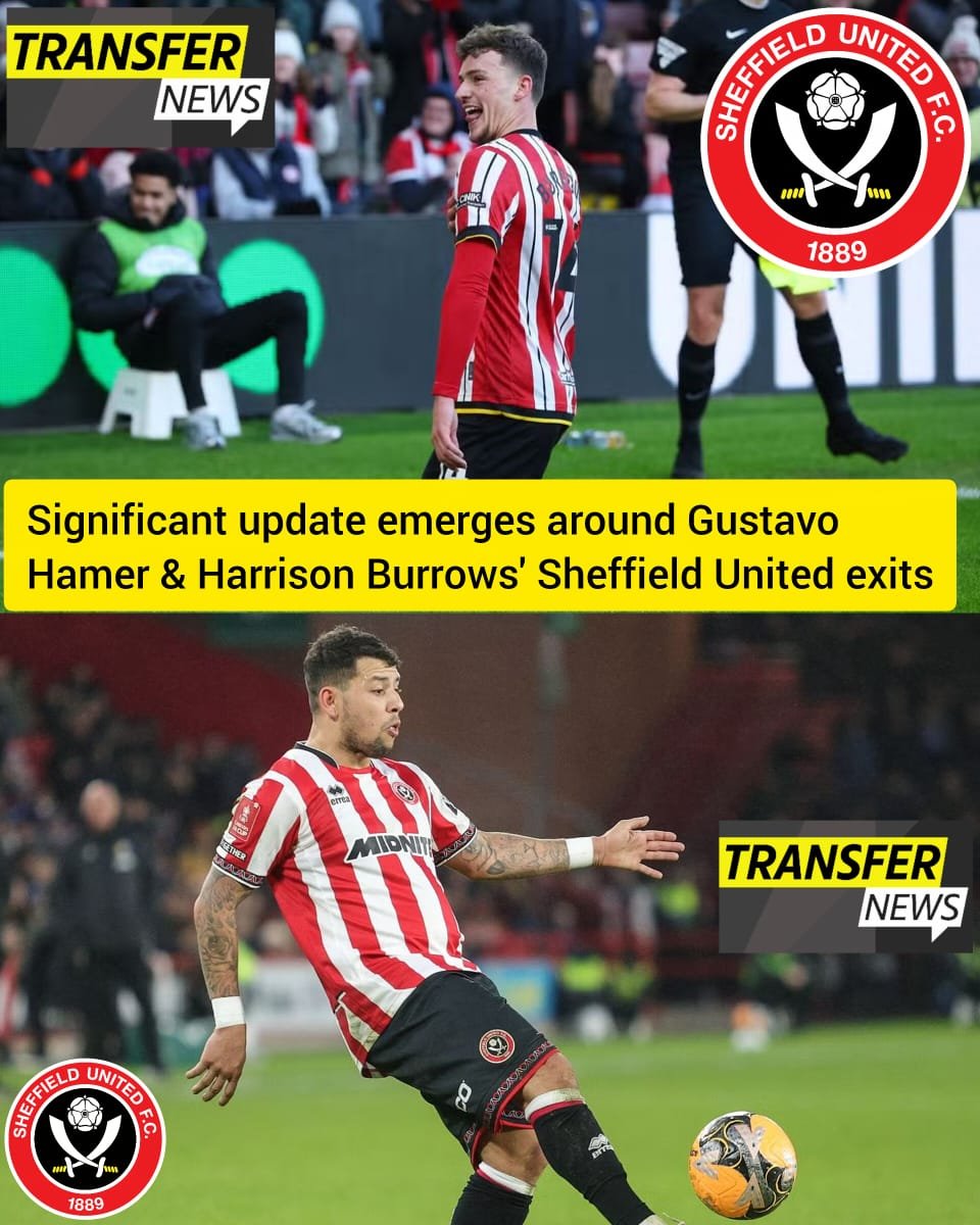 A significant update has emerged around Gustavo Hamer and Harrison ...