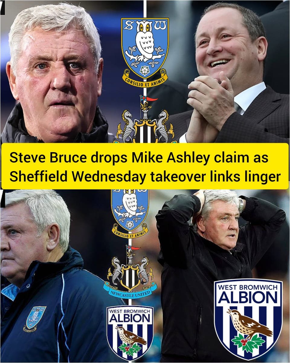 Steve Bruce provides the latest report on Mike Ashley as Sheffield ...