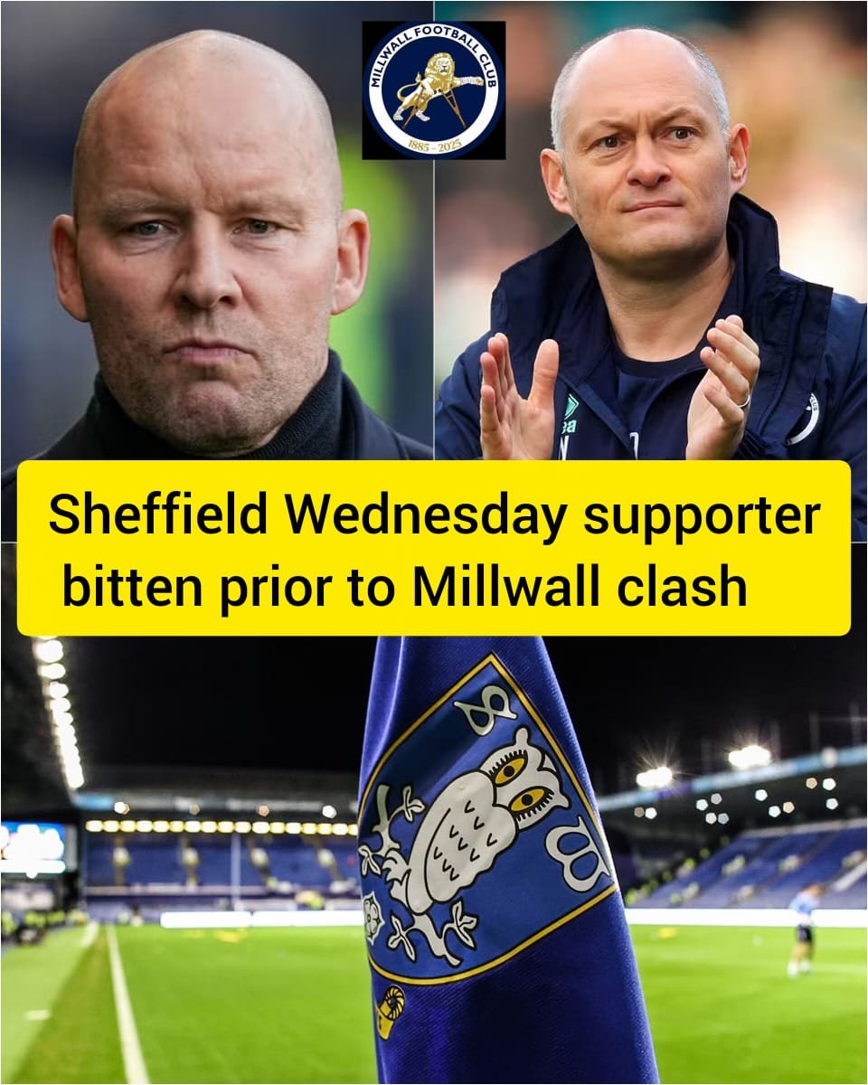 A Sheffield Wednesday supporter was reportedly bitten prior to the ...
