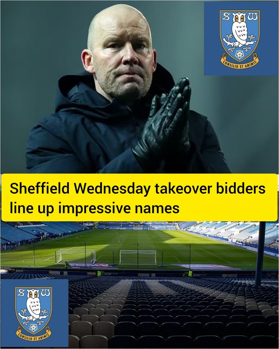 Sheffield Wednesday takeover bidders list impressive names. - talk2soccer