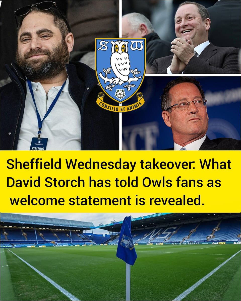 Sheffield Wednesday takeover — What David Storch has said to Owls ...