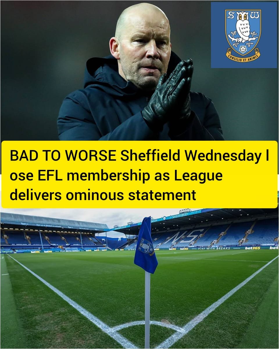 BAD TO WORSE. Sheffield Wednesday could lose their EFL membership after ...