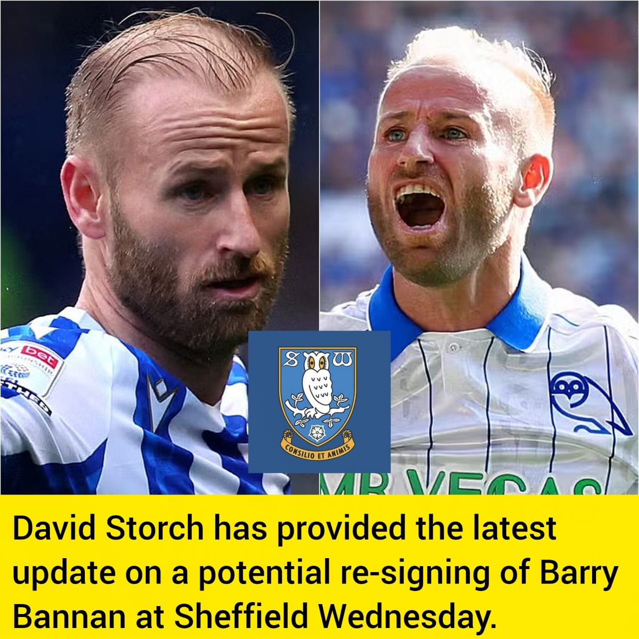 David Storch has provided the latest update on a potential re-signing ...