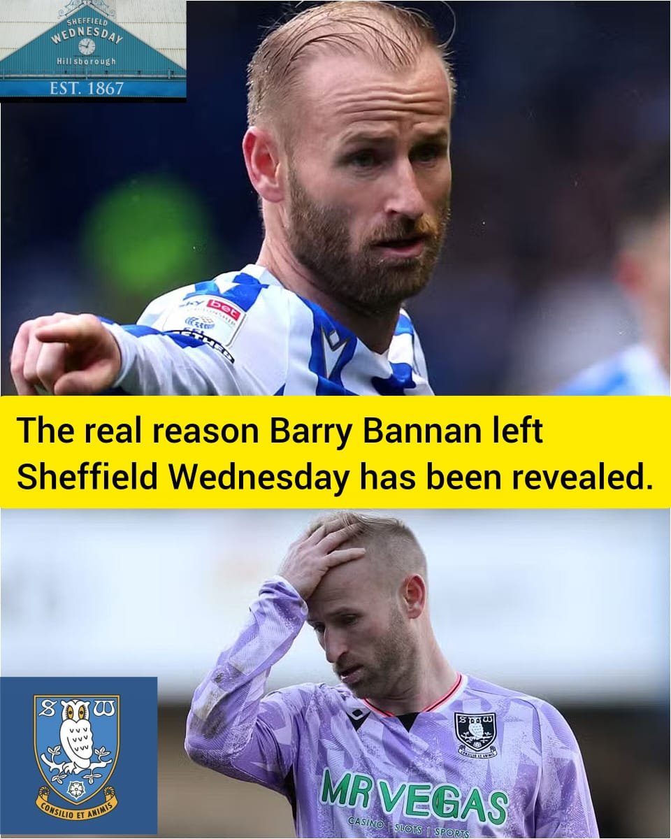 The real reason Barry Bannan left Sheffield Wednesday has been revealed ...