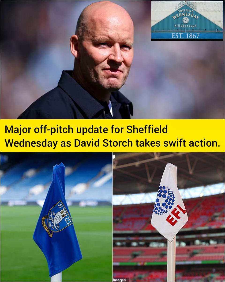 Major off-pitch update for Sheffield Wednesday as David Storch takes ...