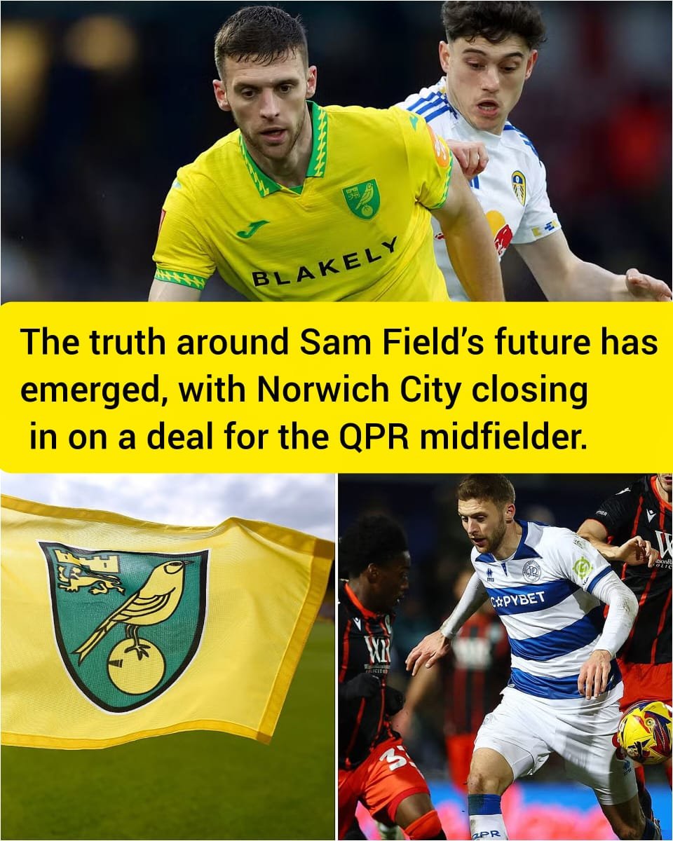 The truth around Sam Field’s future has emerged, with Norwich City ...