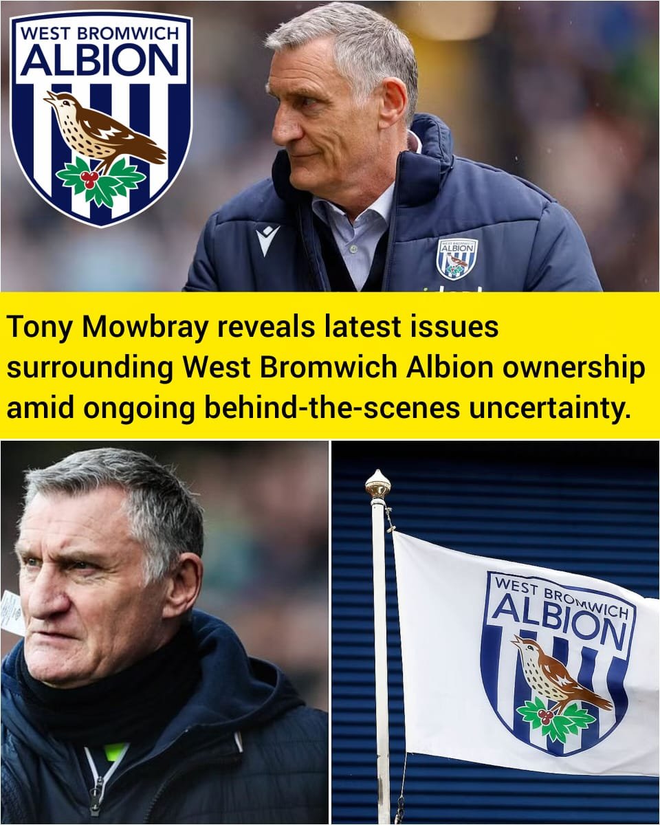 Tony Mowbray reveals latest issues surrounding West Bromwich Albion ...