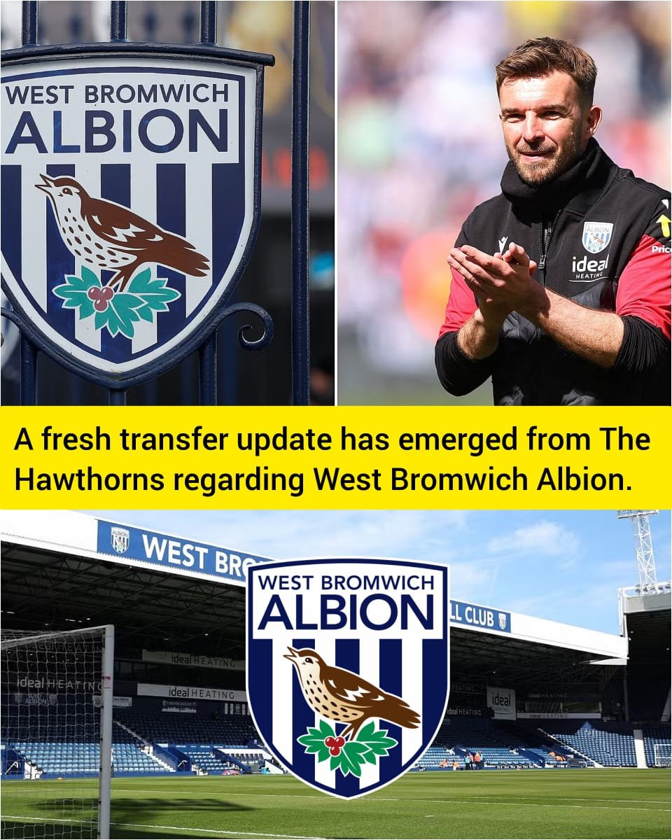 A fresh transfer update has emerged from The Hawthorns regarding West ...